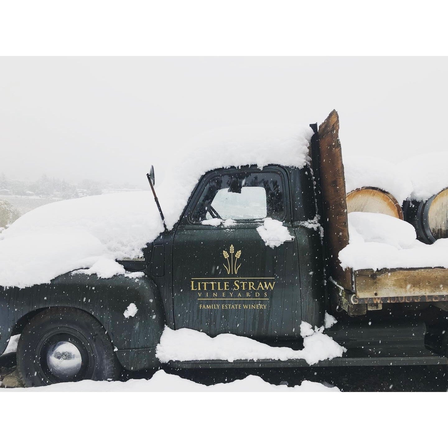 Visit Us || Little Straw Vineyards