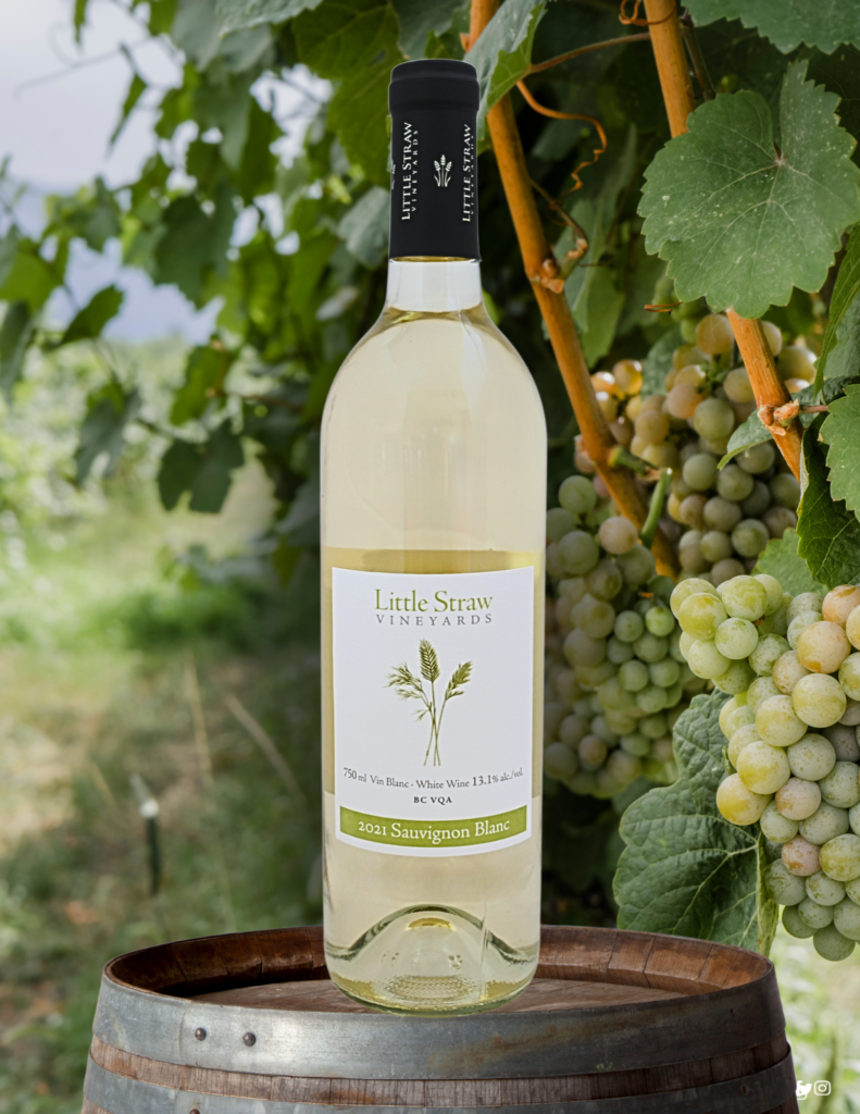 Home - Little Straw Vineyards